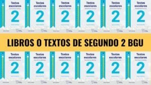Libros de Segundo BGU (2024-2025)